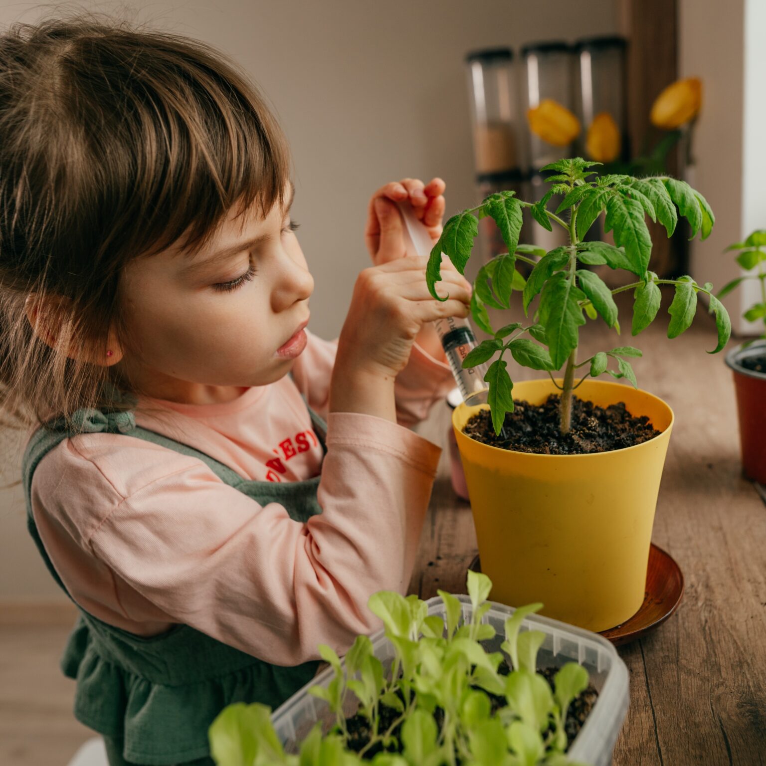 Gardening Class - Aprendo Creciendo